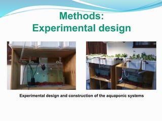 Aquaculture and Aquaponics: Going back to basics | PDF