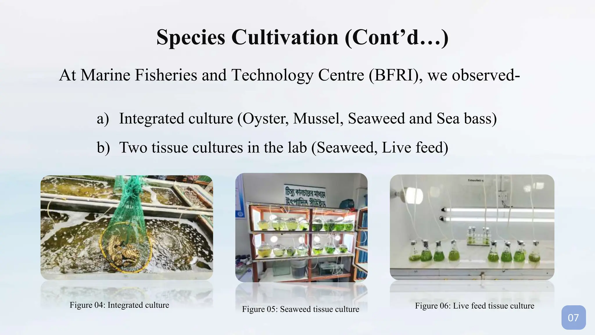 A Case Study: Visit to Coastal Aquaculture Farm | PPTX
