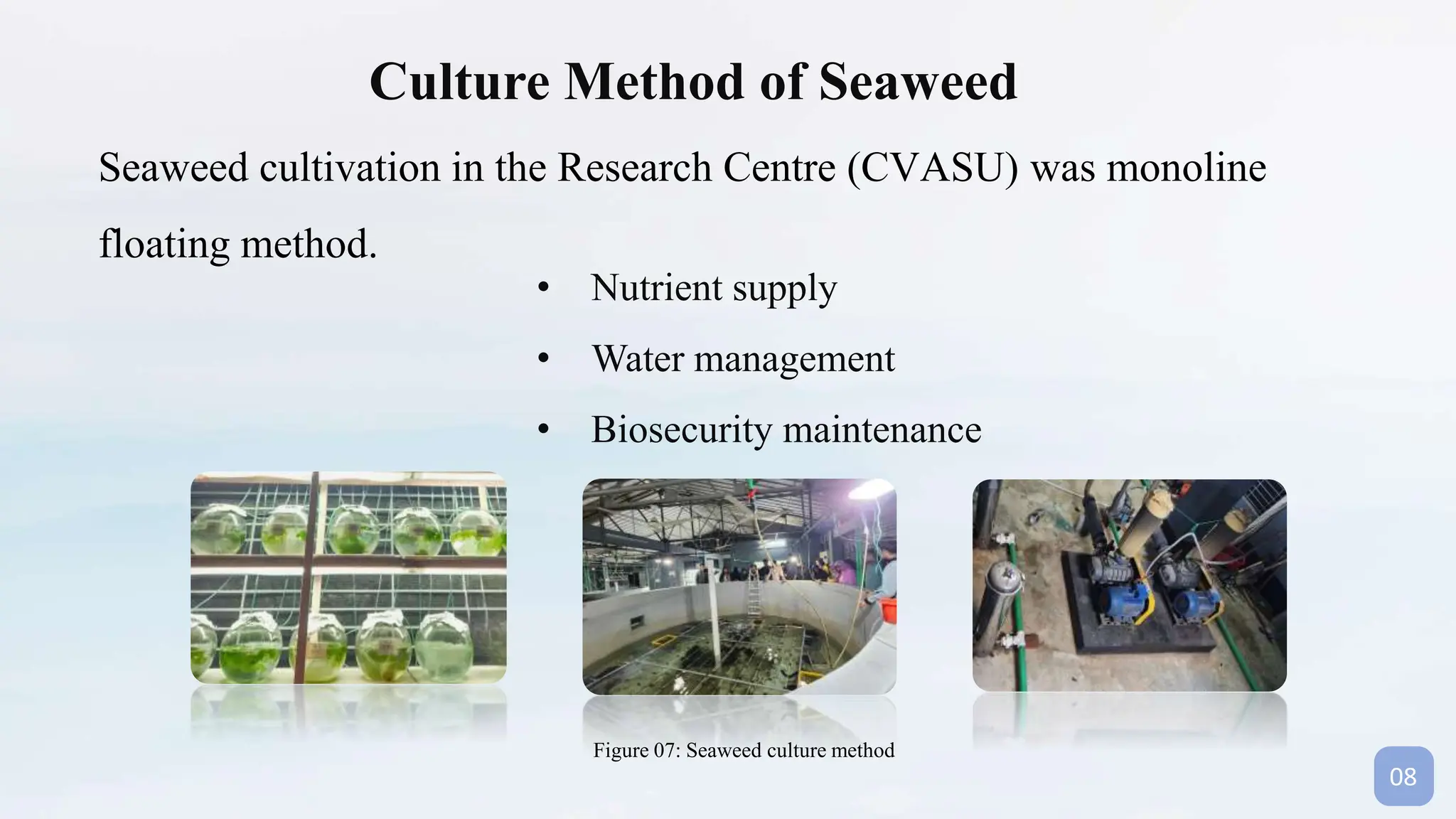 A Case Study: Visit to Coastal Aquaculture Farm | PPTX