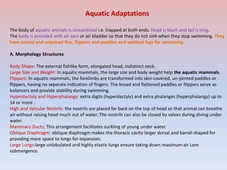 Aquatic mammals and their adaptation, General Feathers of Aquatic ...