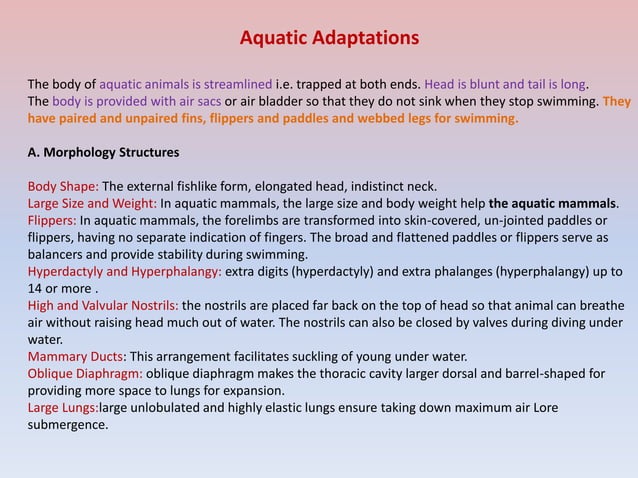 Aquatic mammals and their adaptation, General Feathers of Aquatic ...