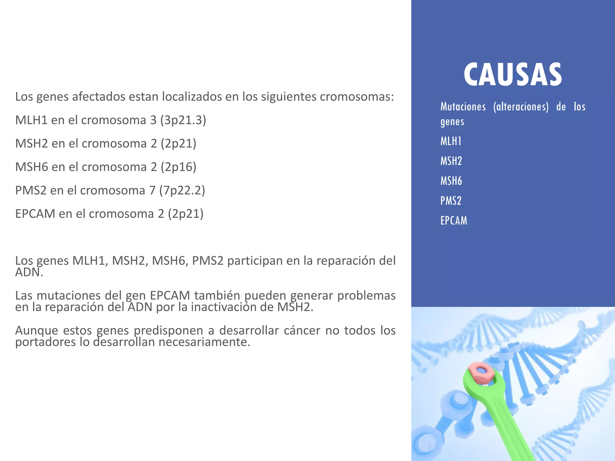 Síndromes con predisposición a cáncer en el adulto | PPT