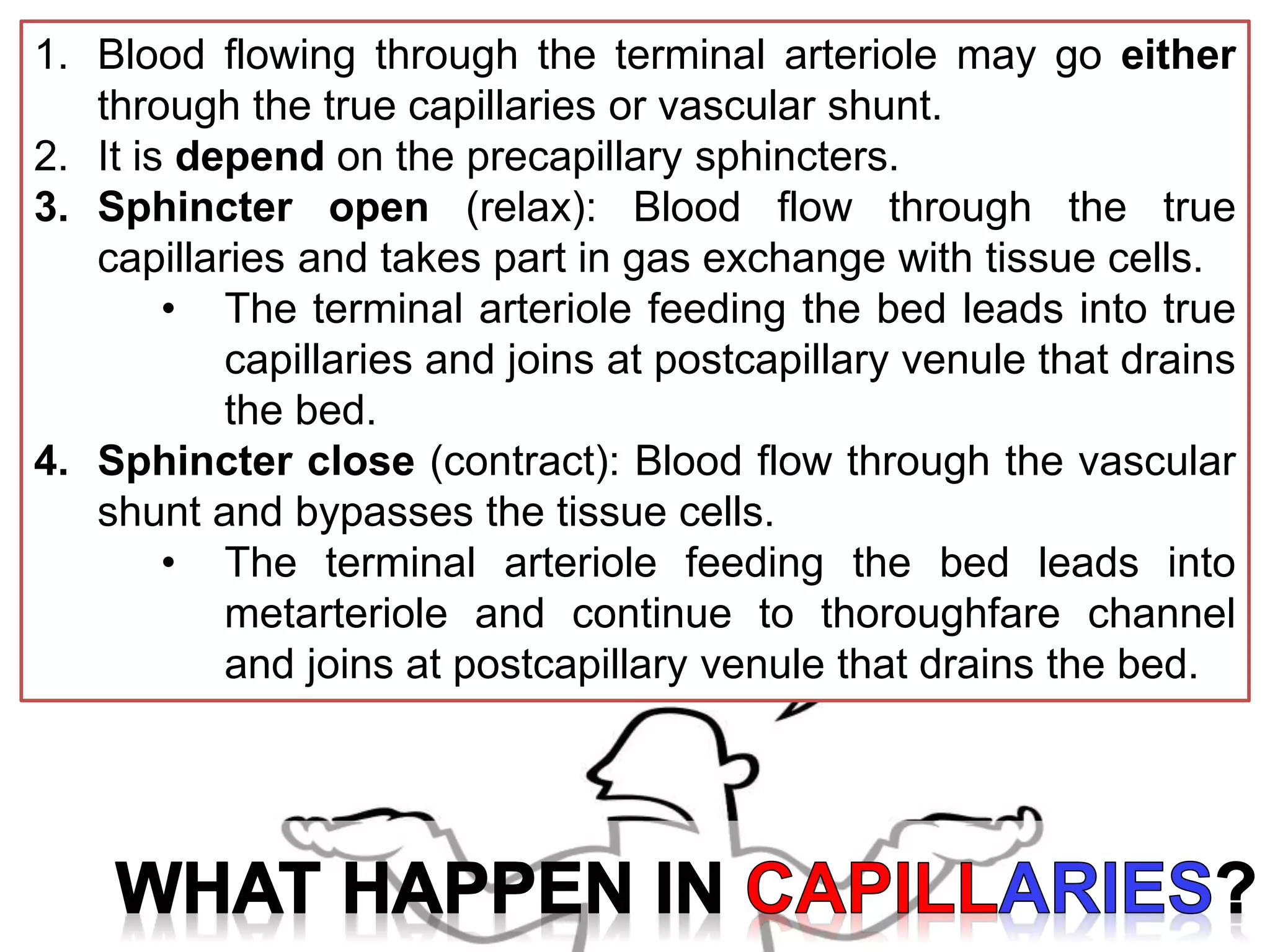Blood vessels: Arteries, Veins and Capillaries | PPTX