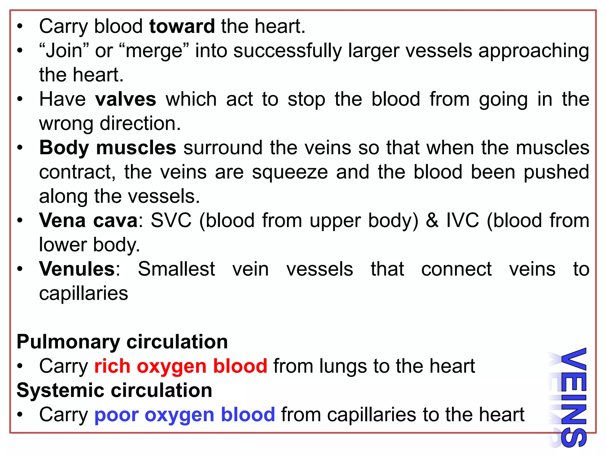 Blood vessels: Arteries, Veins and Capillaries | PPTX