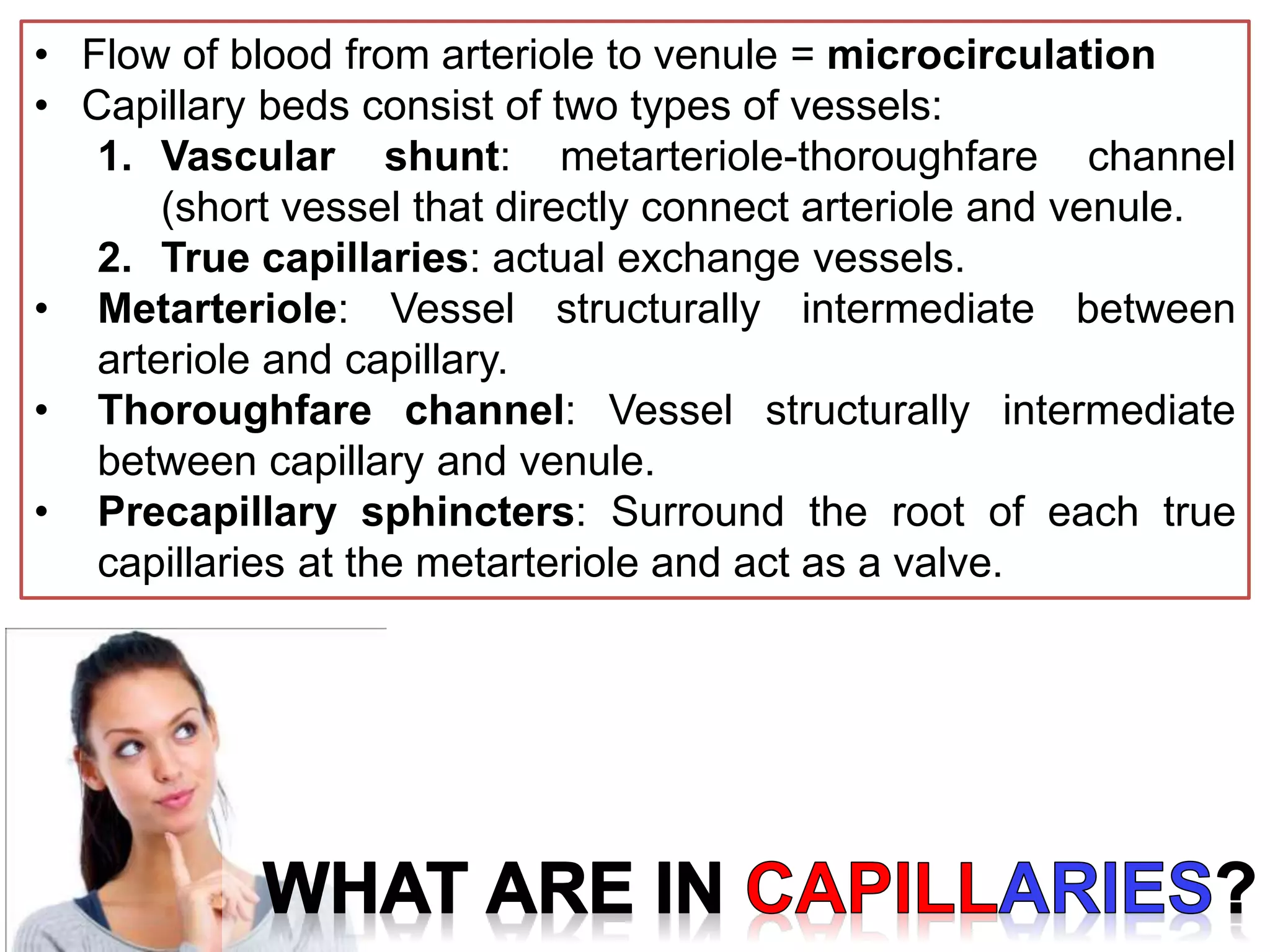Blood vessels: Arteries, Veins and Capillaries | PPTX