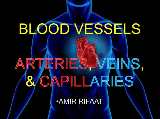 Blood vessels: Arteries, Veins and Capillaries | PPTX