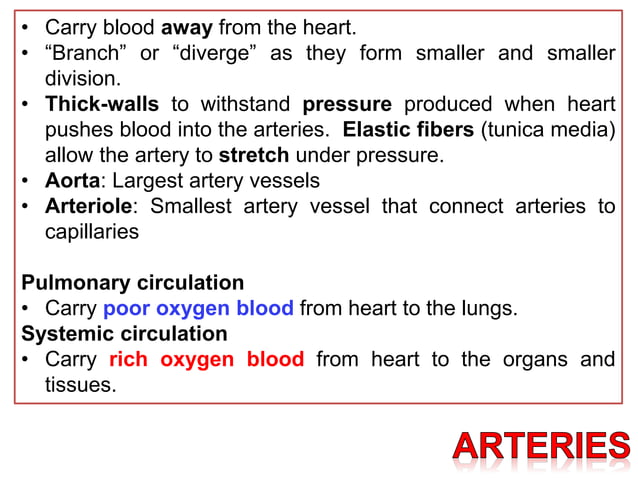 Blood vessels: Arteries, Veins and Capillaries | PPTX