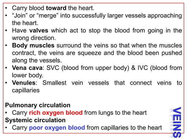 Blood vessels: Arteries, Veins and Capillaries | PPTX