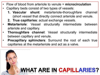 Blood vessels: Arteries, Veins and Capillaries | PPTX
