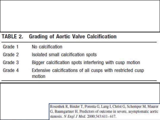 ECHOCARDIOGRAPHIC EVALUATION OF AORTIC REGURGITATION