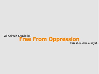 Animal Rights - Basics | PDF