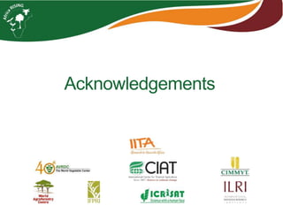 Africa RISING phase 2 monitoring and evaluation framework | PPT