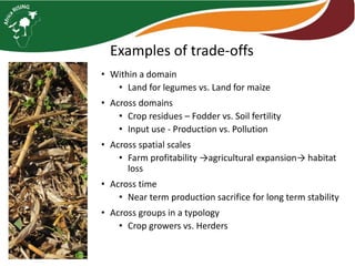 Sustainable intensification tradeoff and synergies | PPT