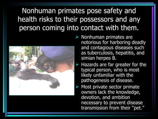 Ar2010 ippl-the problem with pet primates in the us-final | PPT