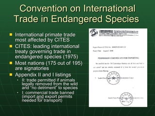 Ar2010 ippl-the tragedy of trade | PPT