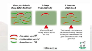 Anthelmintic Resistance | PPTX