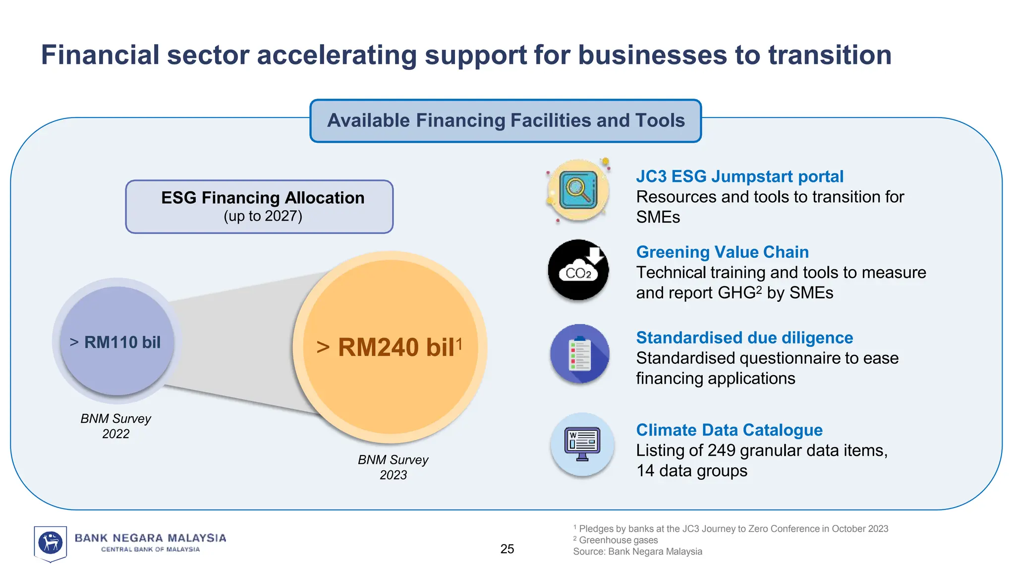 Bank Negara Malaysia yearly report 2024.pptx