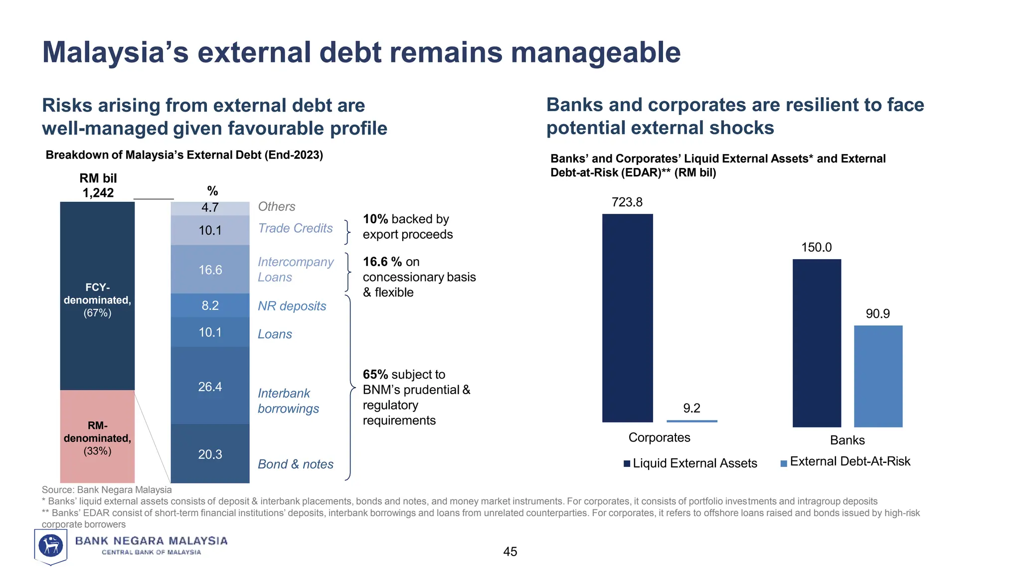 Bank Negara Malaysia yearly report 2024.pptx