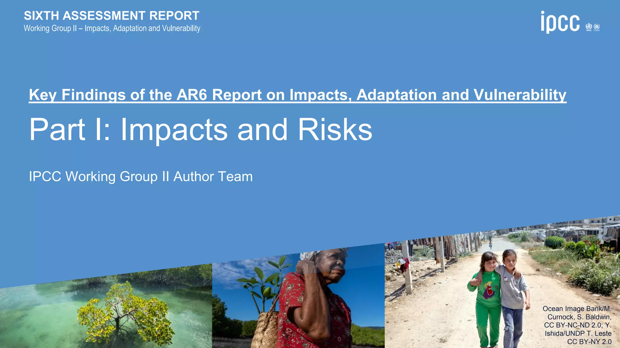 IPCC 6th Assessment Report- AR6_WGII: Impacts, Adaptation, and ...