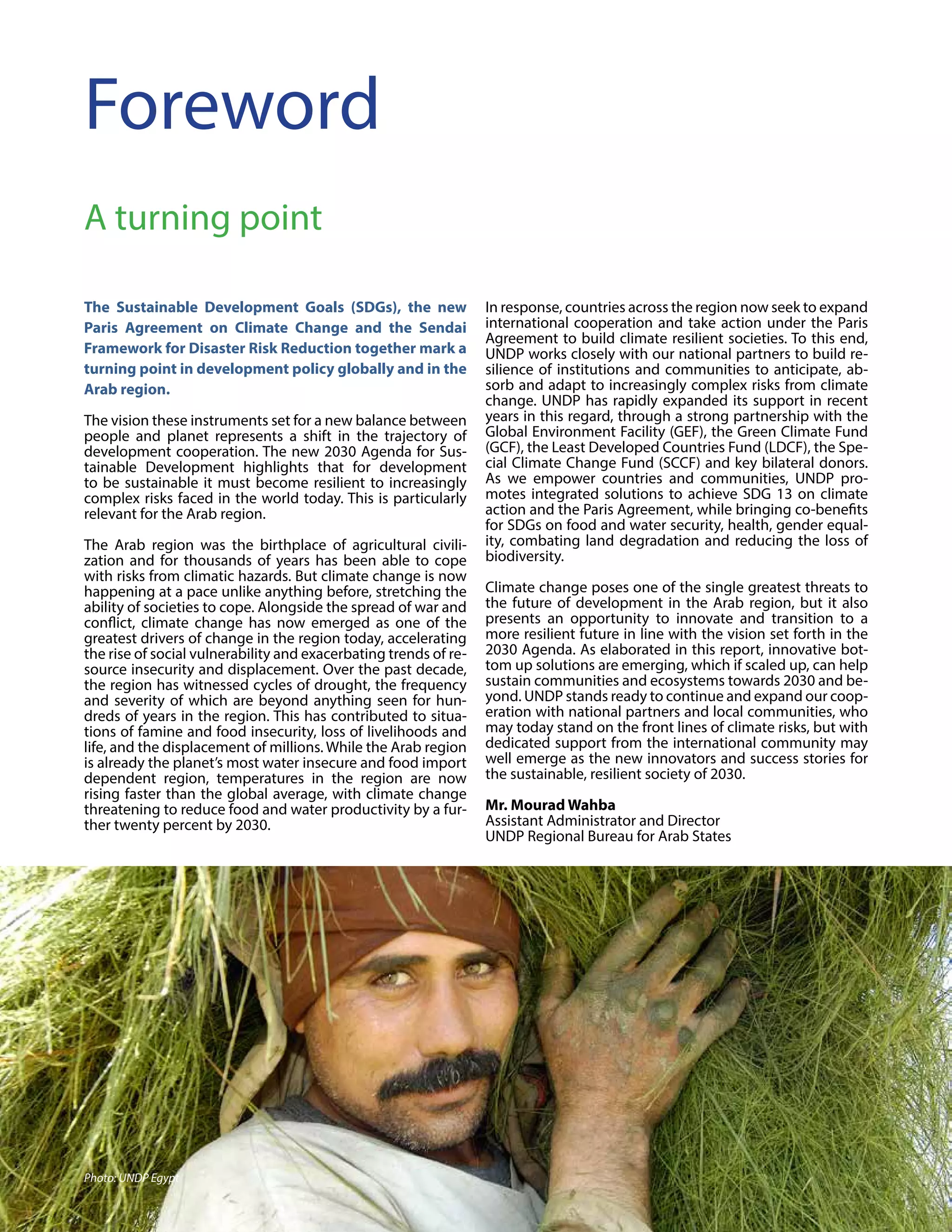Climate Change Adaptation in the Arab States | PDF