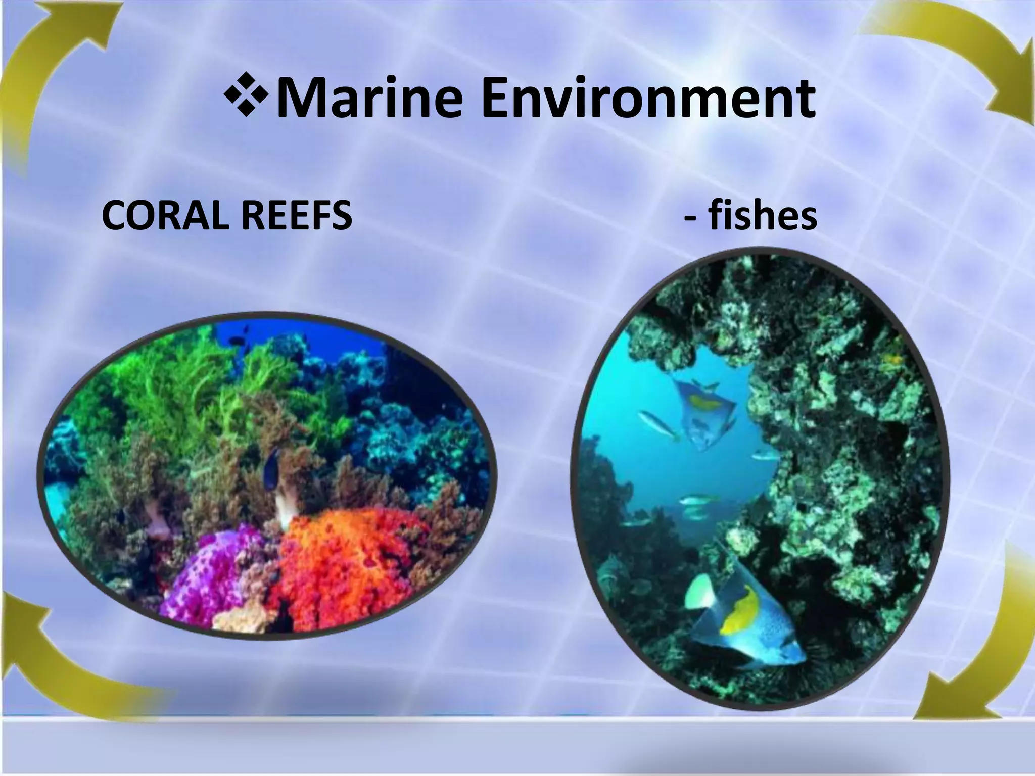 Arab environment | PPTX