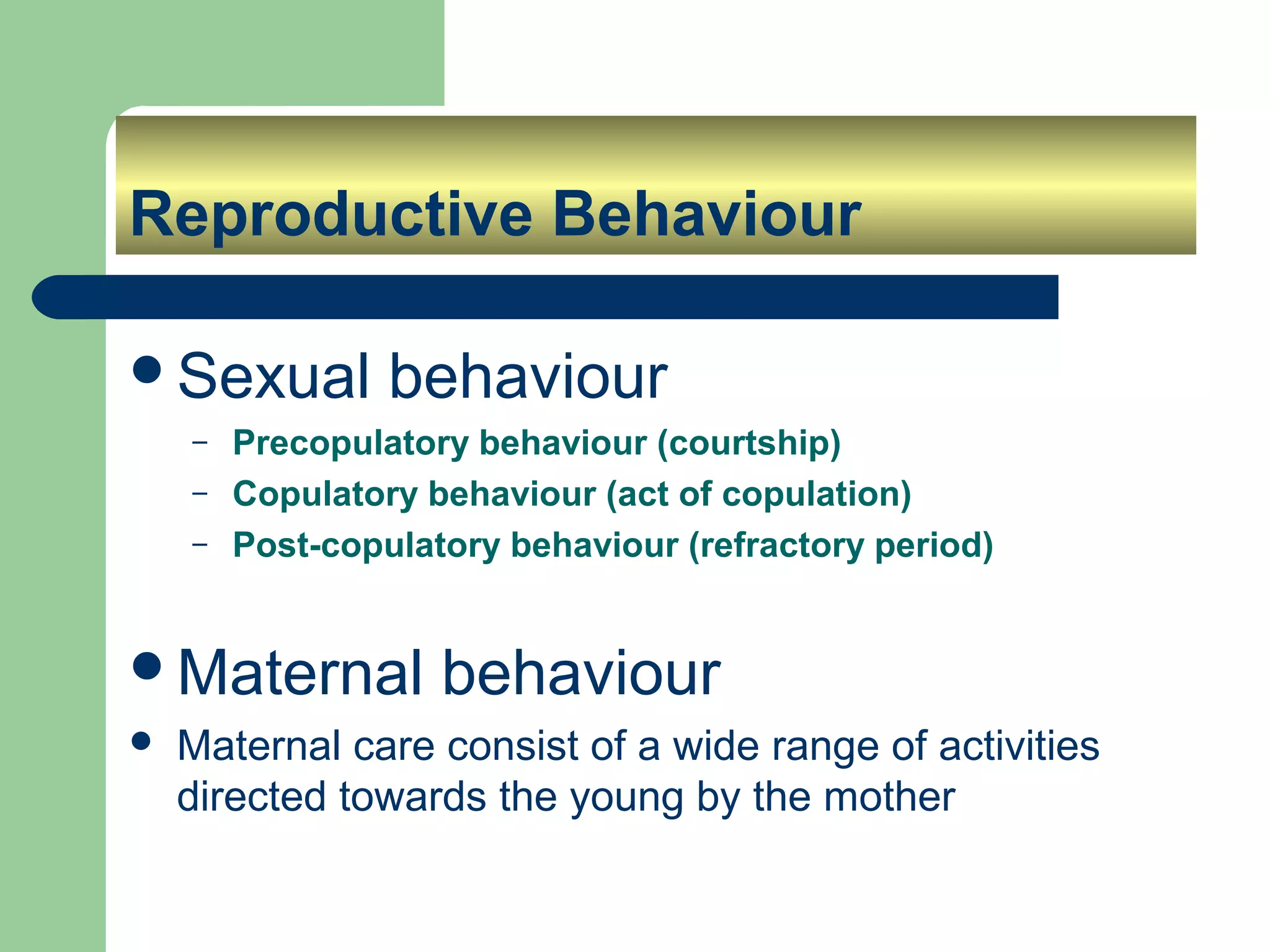 Arabian mare maternal behaviour | PPT