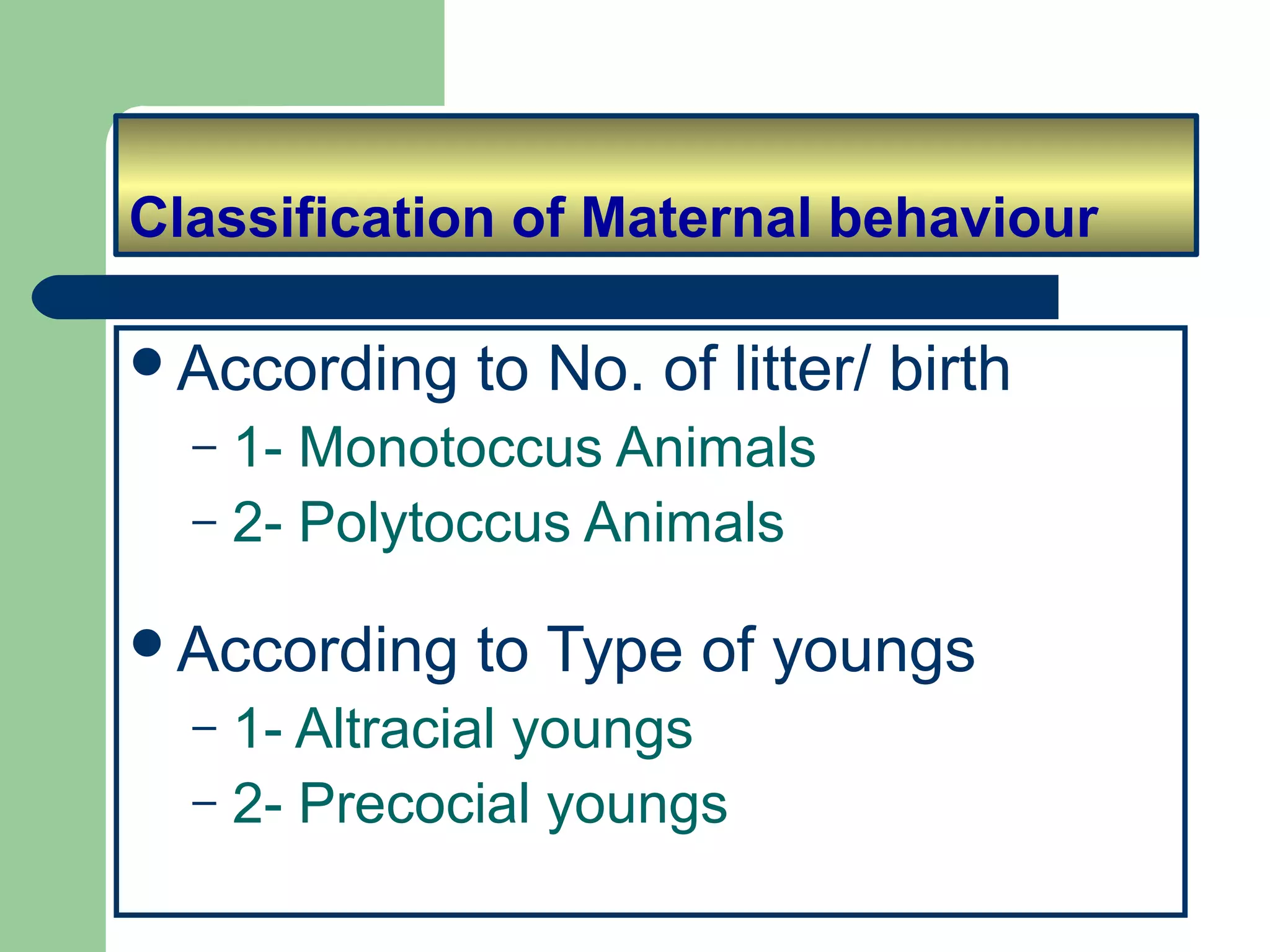 Arabian mare maternal behaviour | PPT