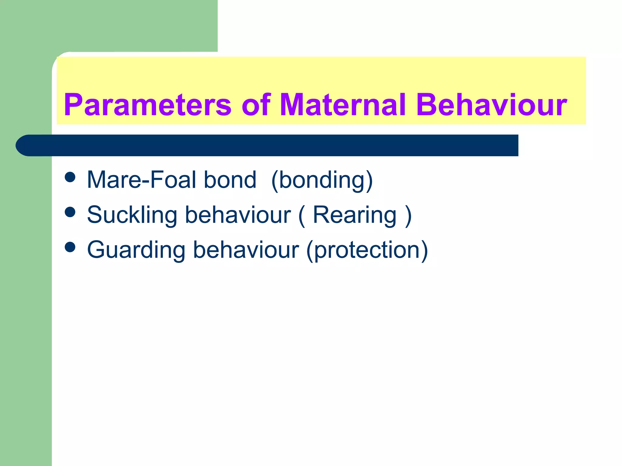 Arabian mare maternal behaviour | PPT