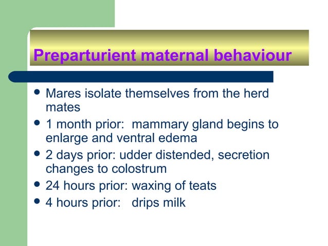 Arabian mare maternal behaviour | PPT