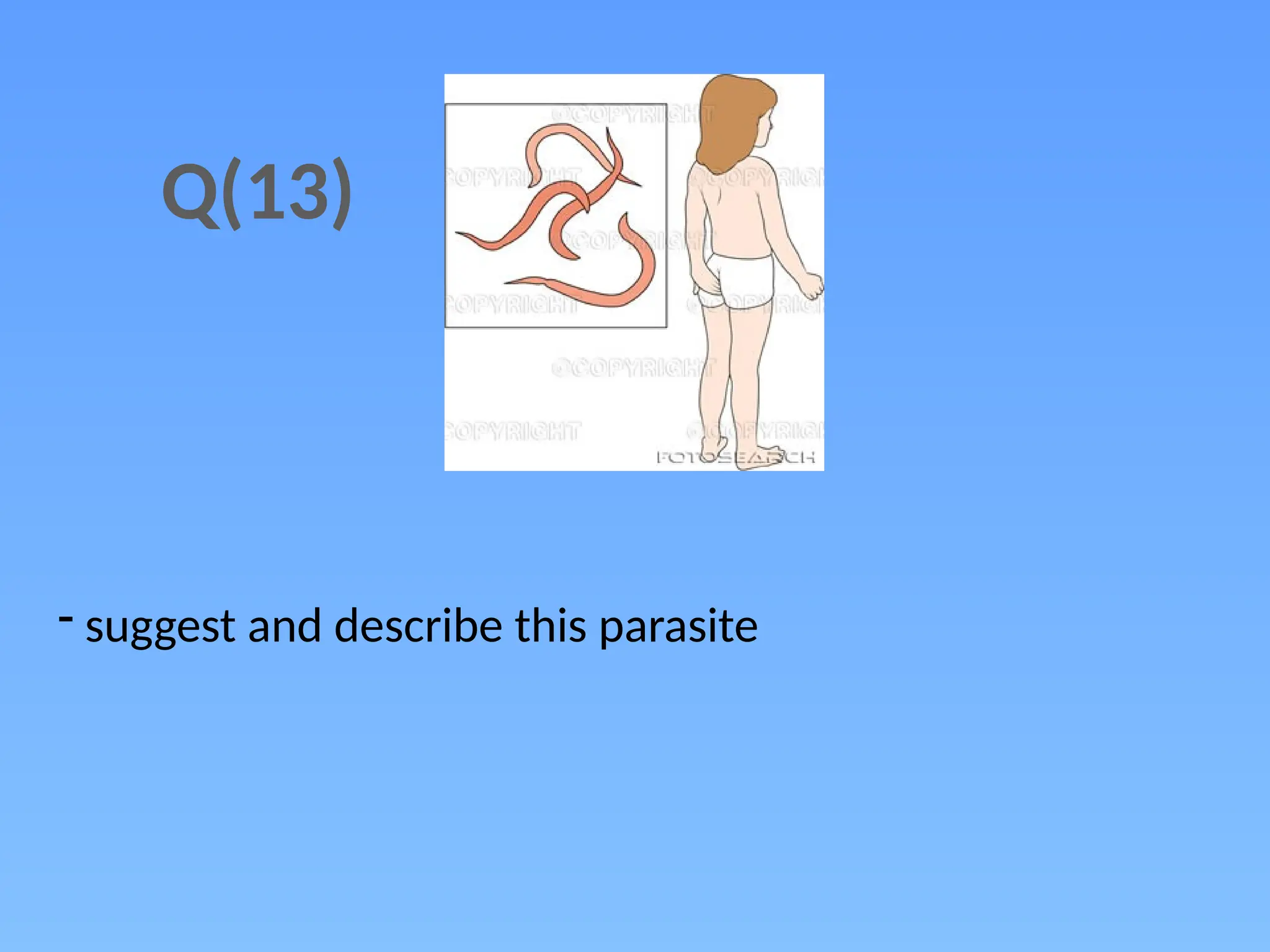 Digestive System: Function, Organs & Anatomy | PPT