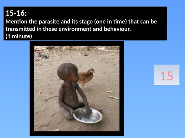 Digestive System: Function, Organs & Anatomy | PPT