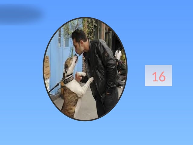 Digestive System: Function, Organs & Anatomy | PPT