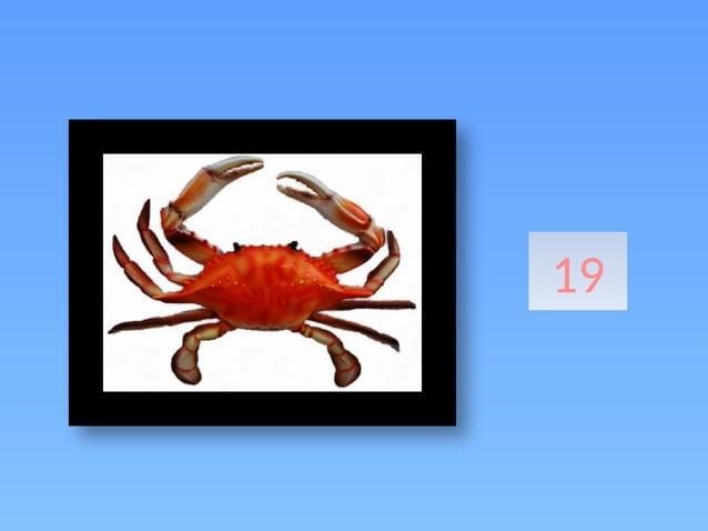 Digestive System: Function, Organs & Anatomy | PPT