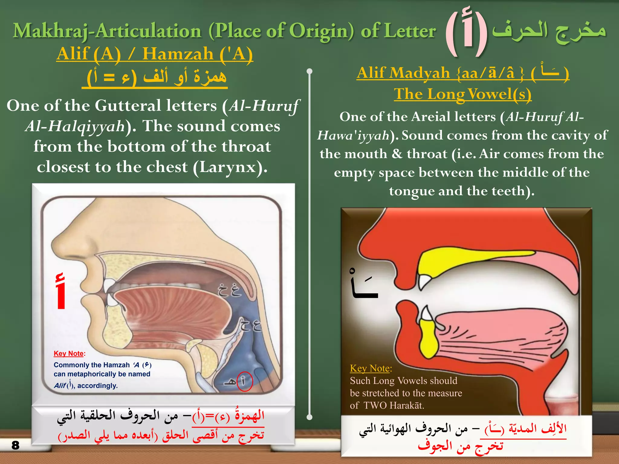 Arabic level-0-class-1 | PDF