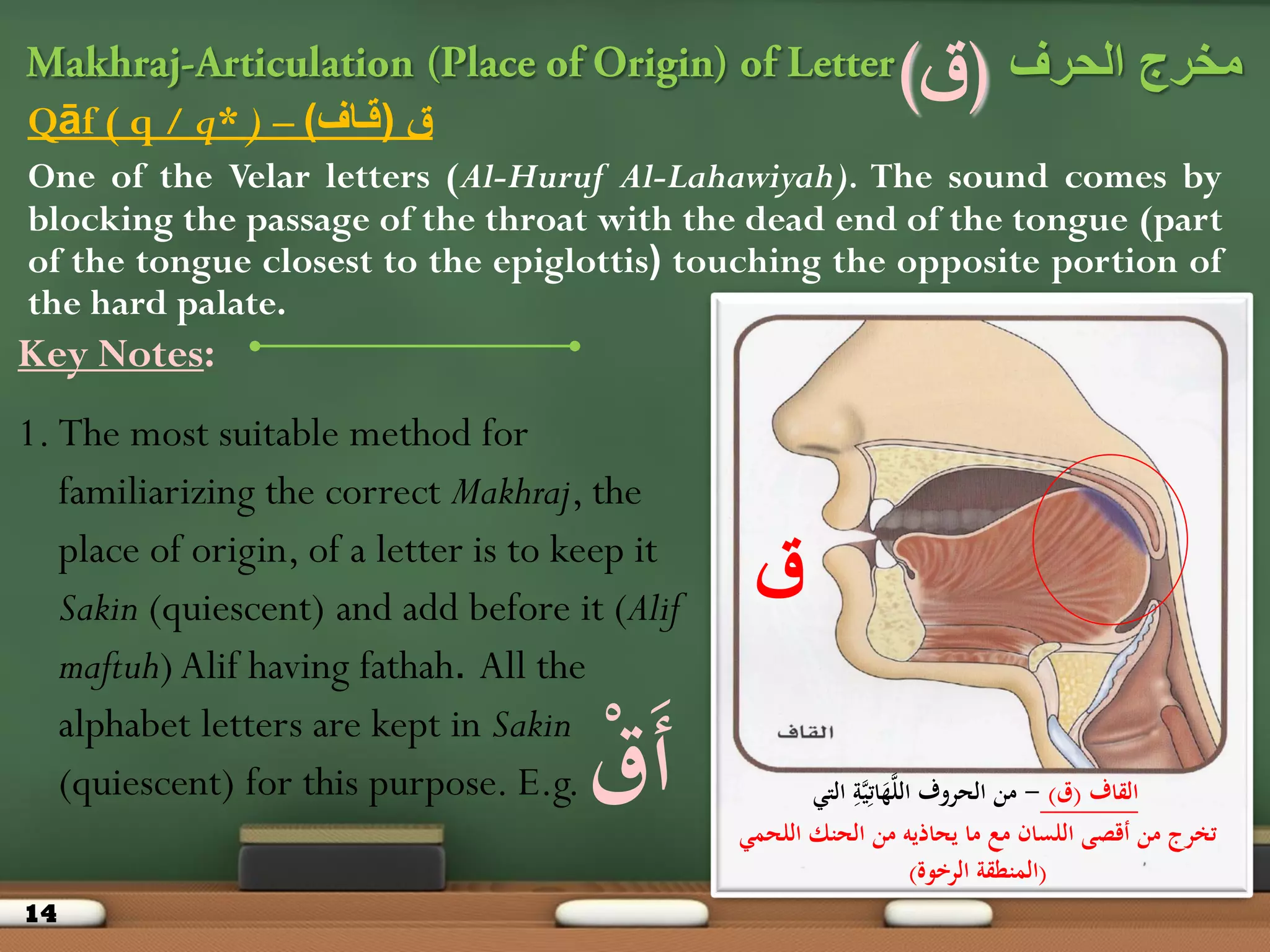 Arabic level-0-class-8 | PDF