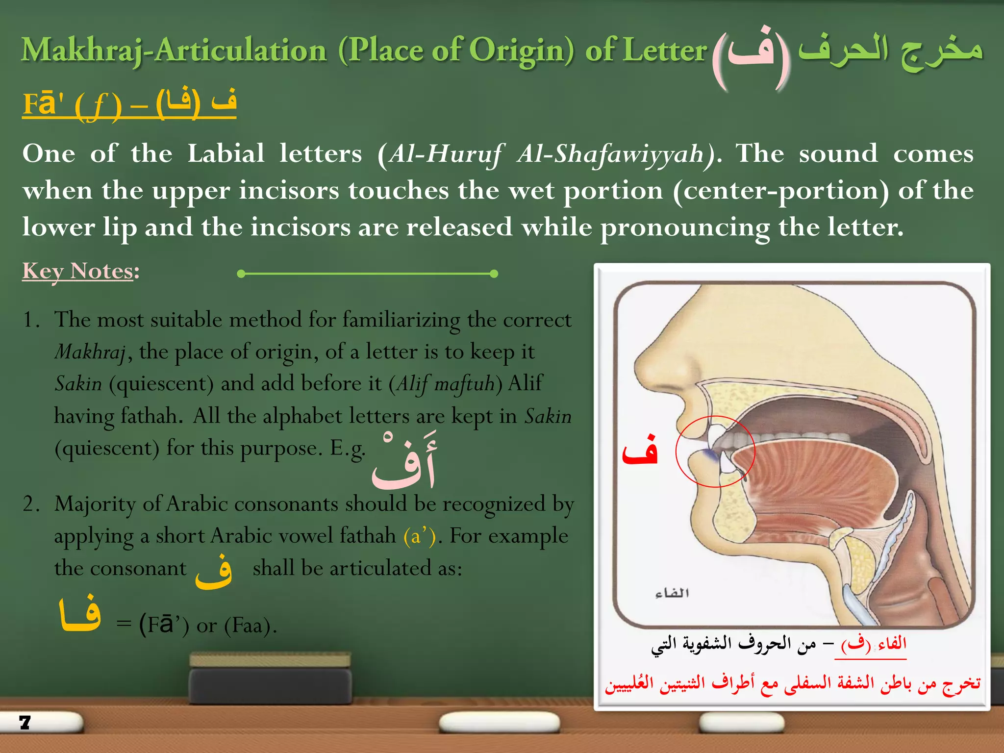 Arabic level-0-class-8 | PDF
