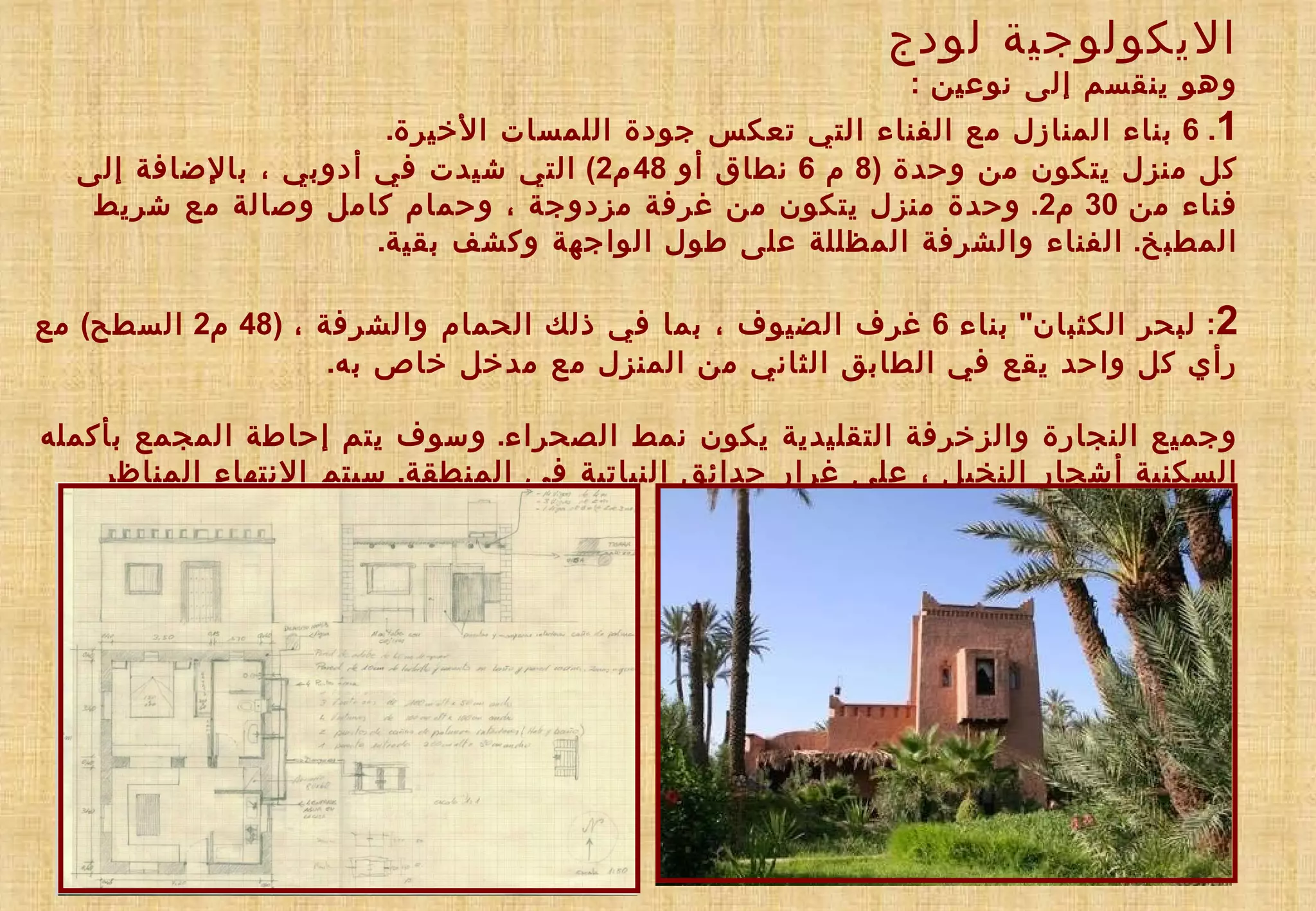 Arabic abu monkar | PPT