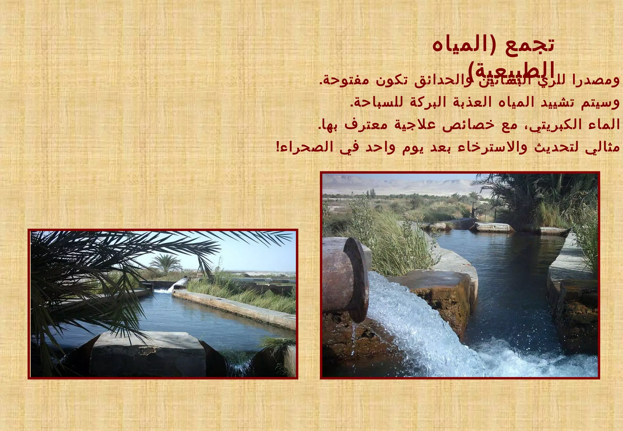 Arabic abu monkar | PPT