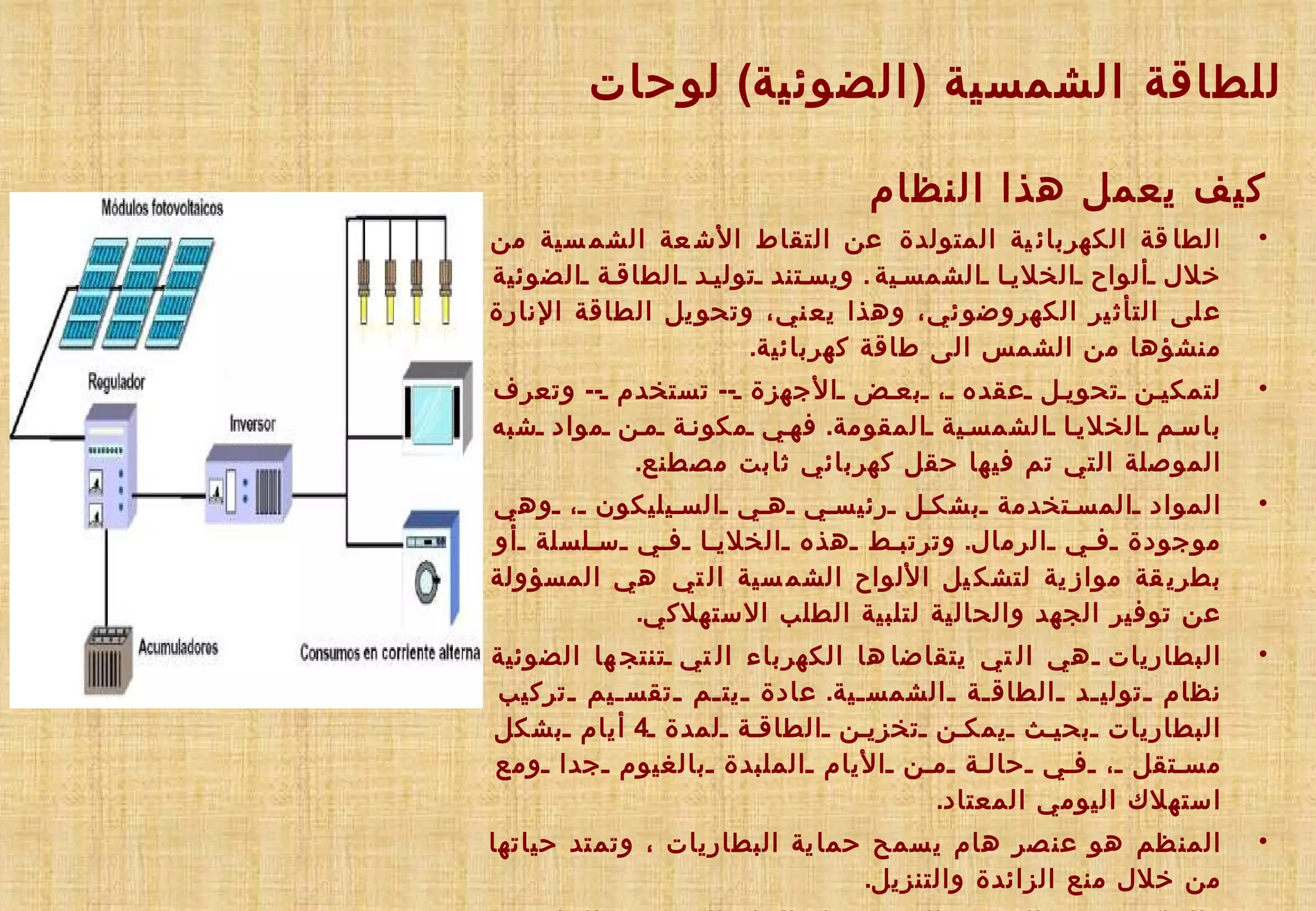 Arabic abu monkar | PPT