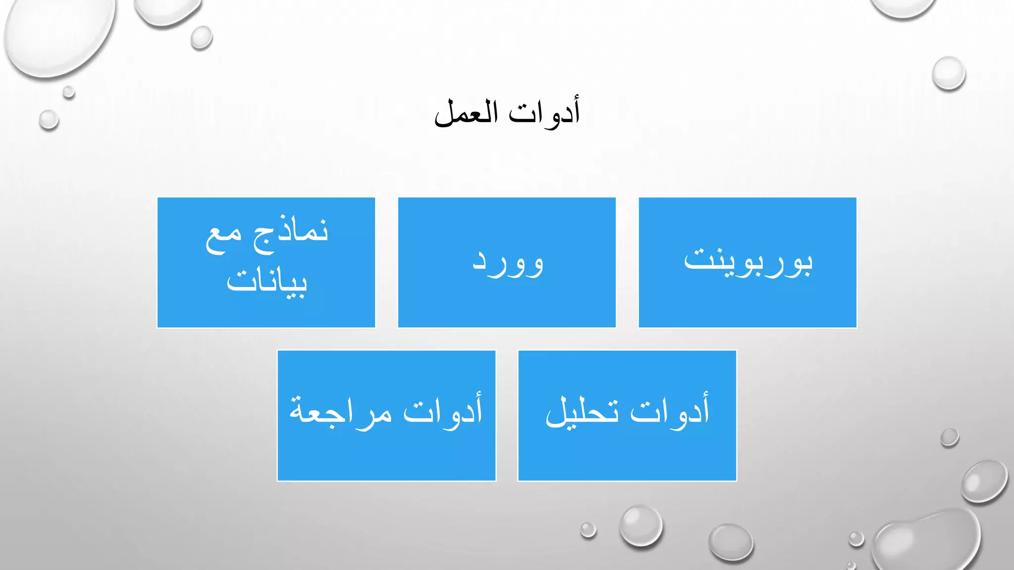 Arabic action plan template presentation hassan el-meligy 2021 | PPT