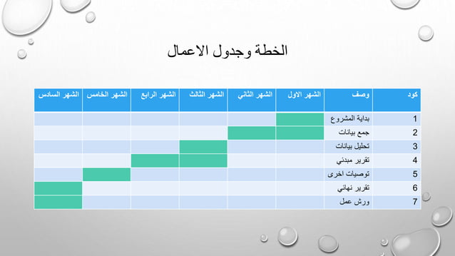 Arabic action plan template presentation hassan el-meligy 2021 | PPT