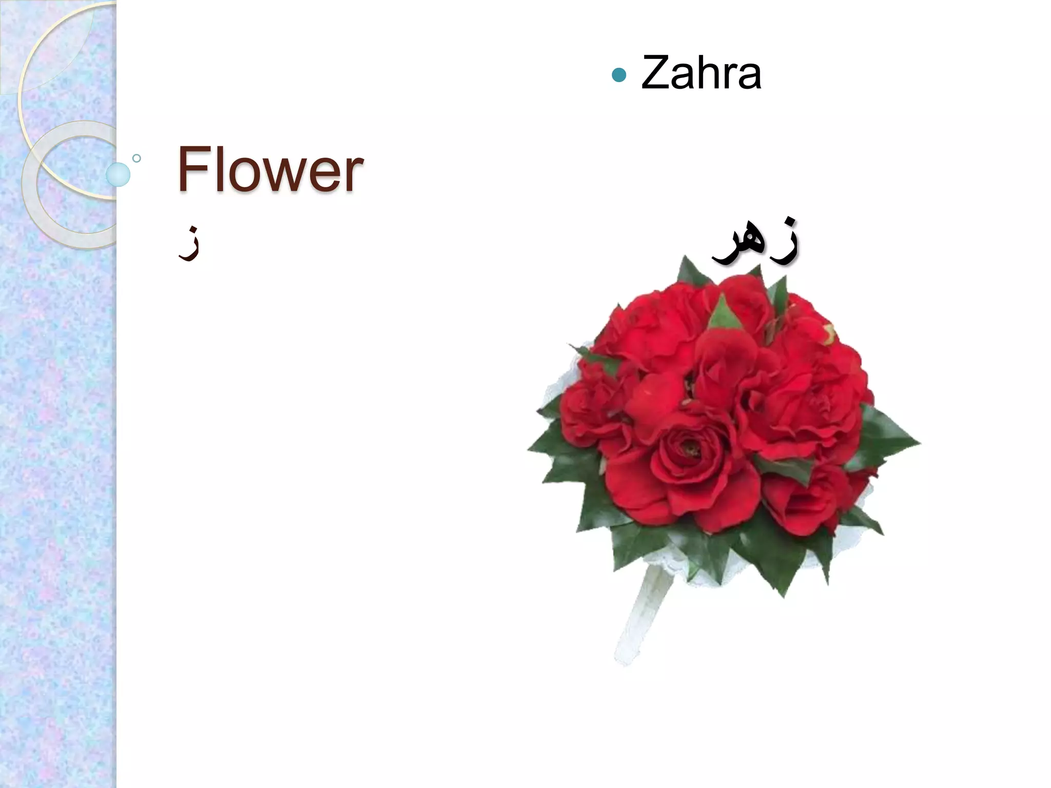 Arabic alphabet p1 | PPT