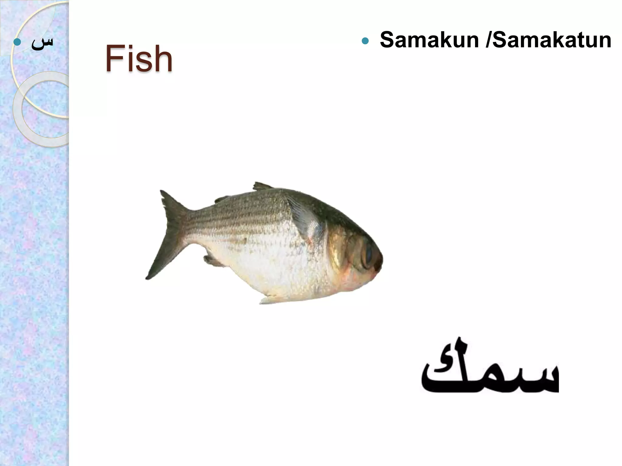 Arabic alphabet p1 | PPSX