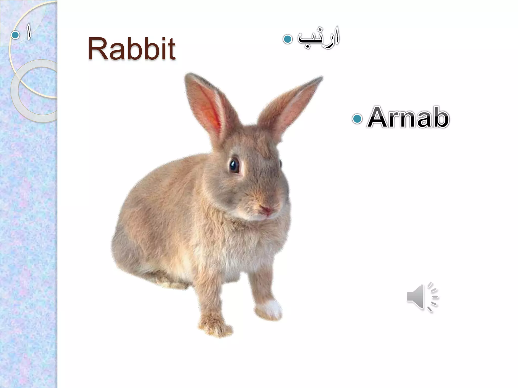 Arabic alphabet p1 | PPT