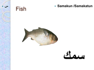 Arabic alphabet p1 | PPSX