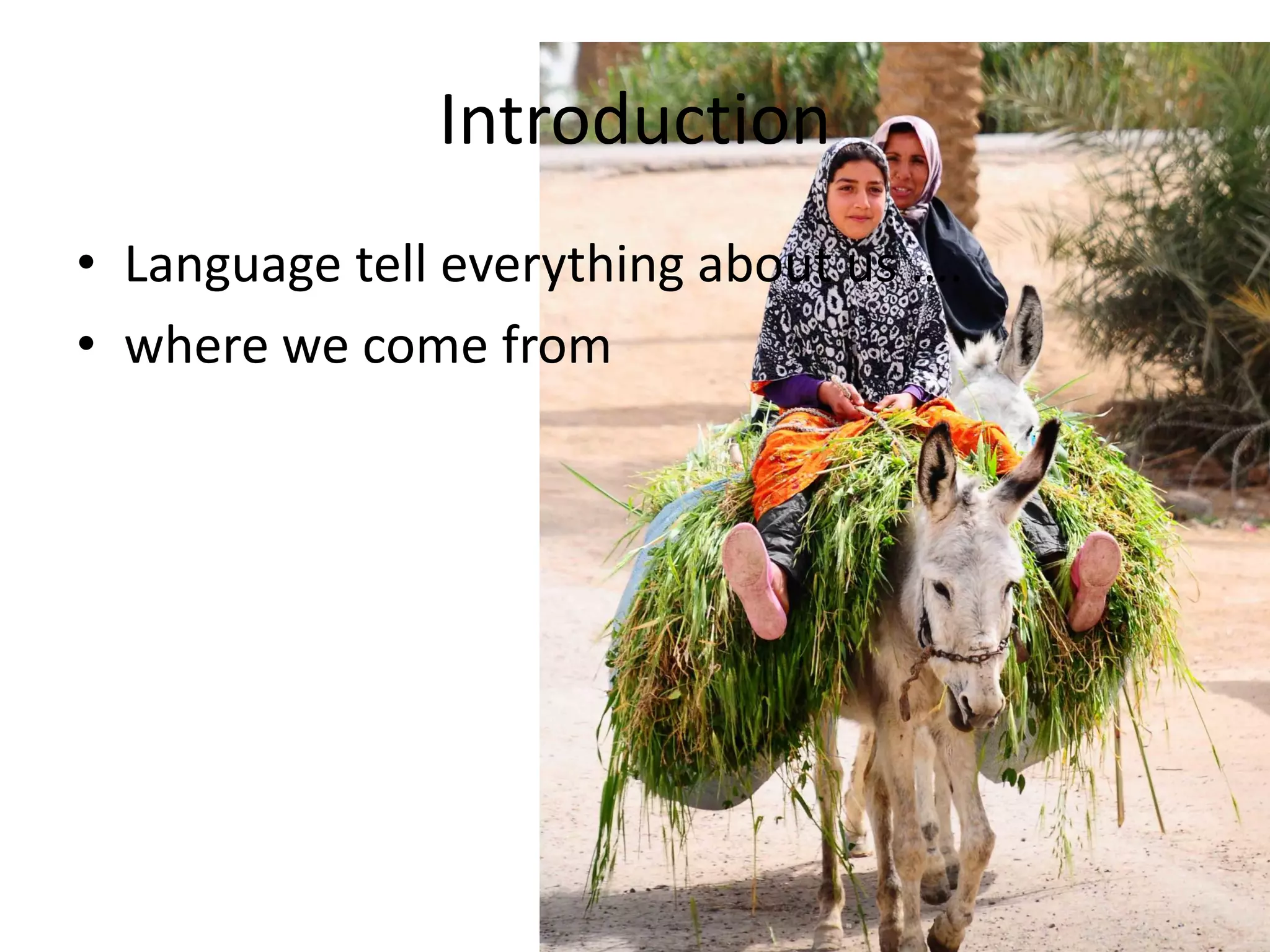 Arabic language presentation 01 | PDF