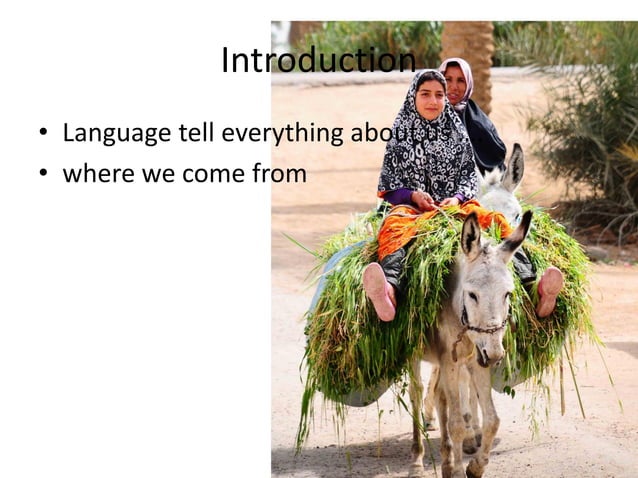 Arabic language presentation 01 | PDF