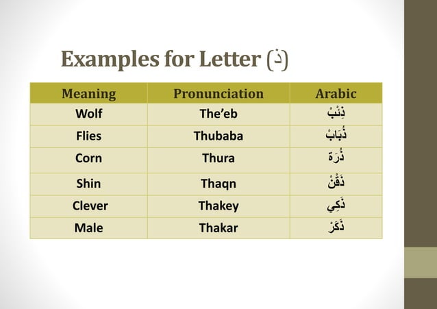 arabic lesson.pptx