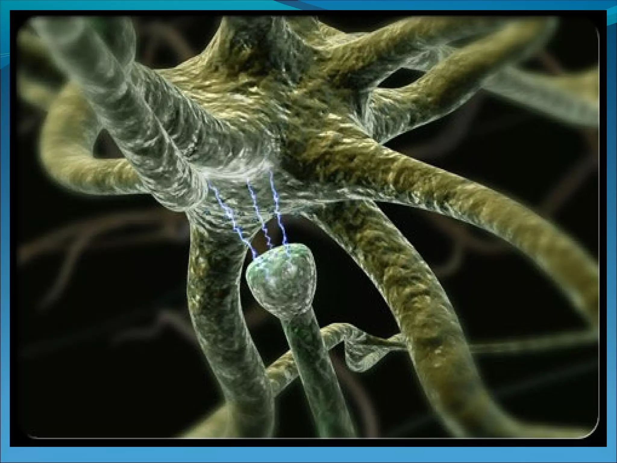 Arabic mental health awareness autism 1 | PPT