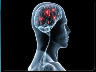 Arabic mental health awareness autism 1 | PPT